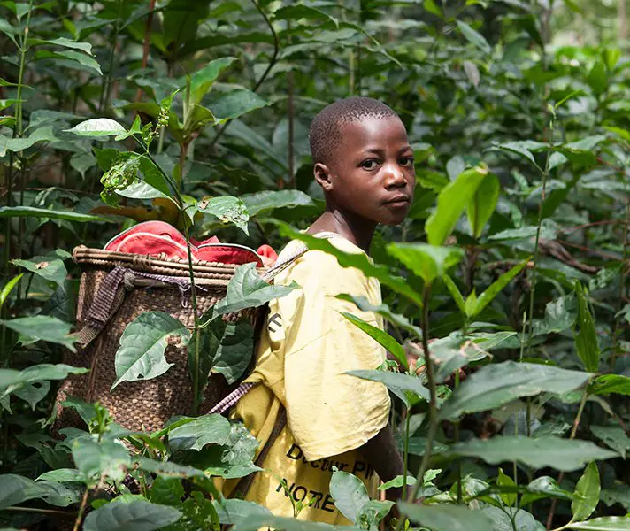 Experiencing Congo Village Life on a Congo Safari | Go2Africa