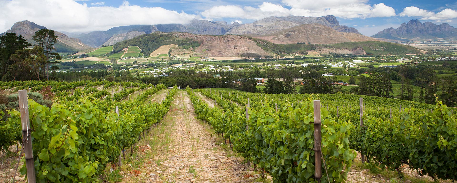 Cape Winelands Holiday | Go2Africa