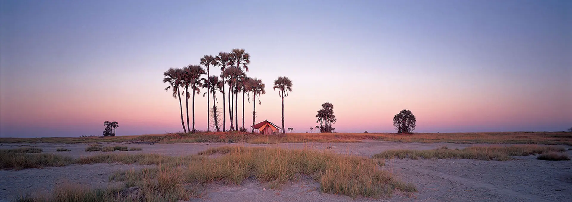 Kalahari Safari | Go2Africa.com