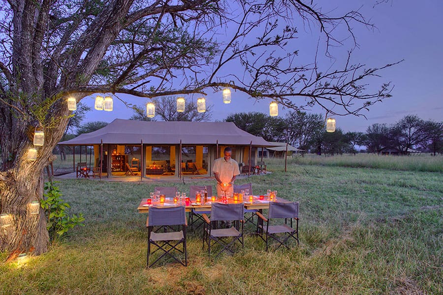 Why Travellers Who Like Cruise Vacations Will Love Safari | Go2Africa