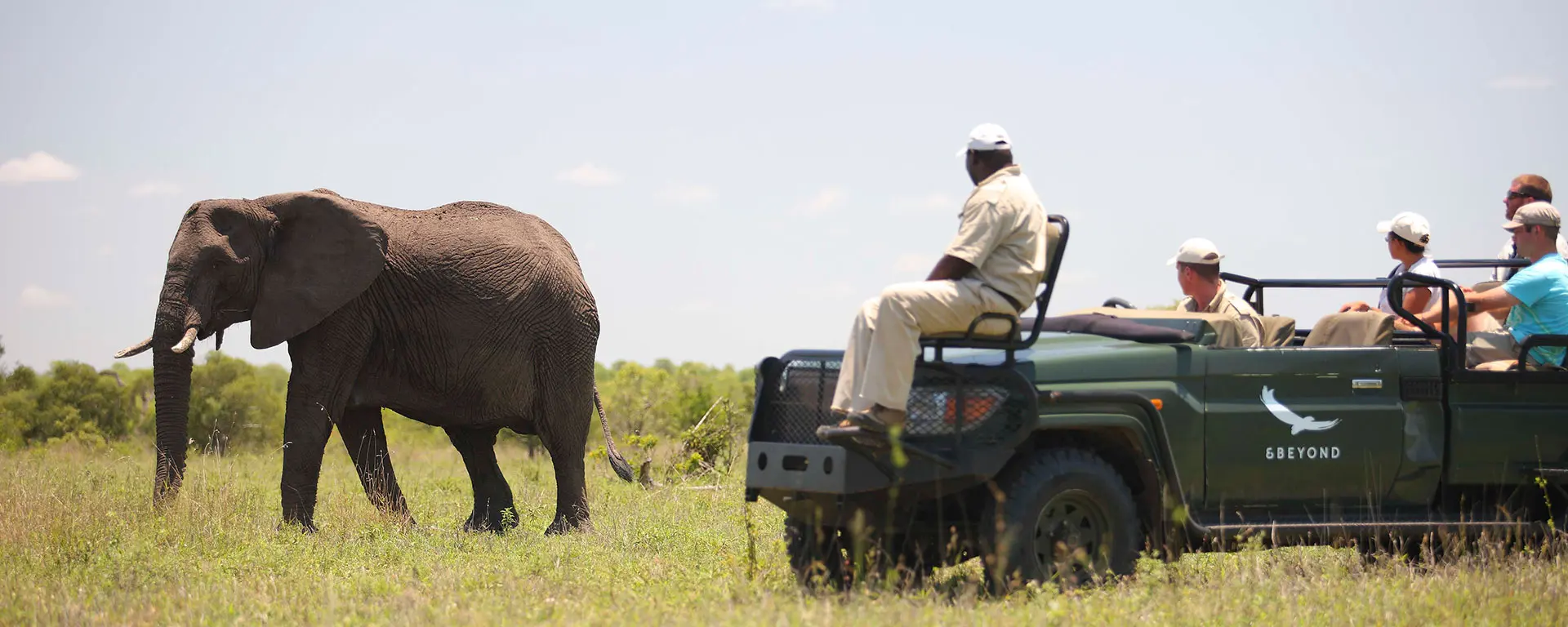 Timbavati Private Nature Reserve Safaris | Go2Africa