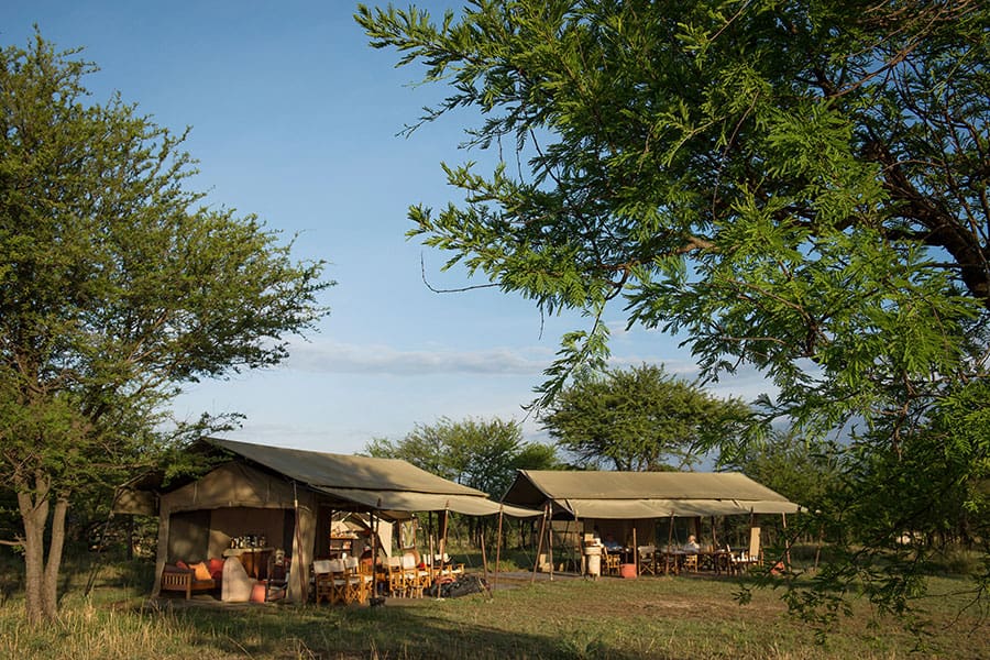 Ubuntu Camp, Serengeti | Go2Africa.com