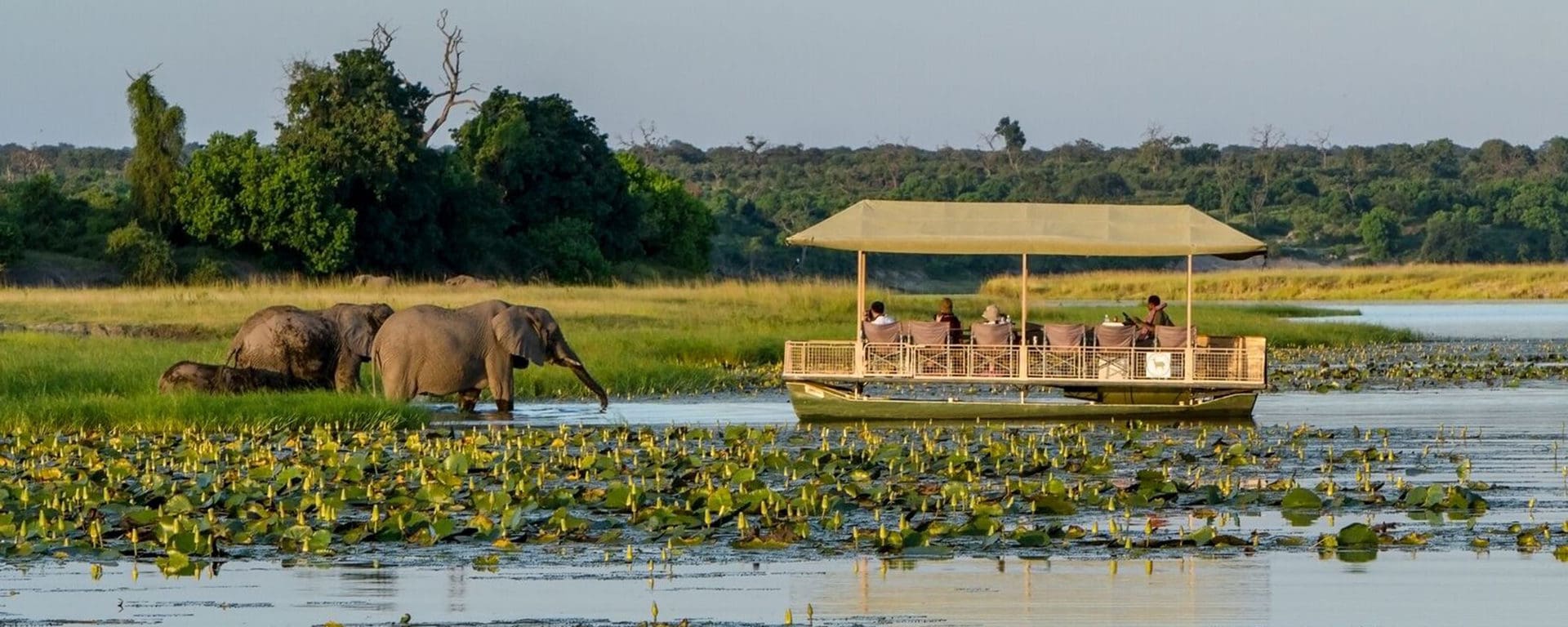 Best Time to Visit Chobe (High/Low Season, Weather & Activities)