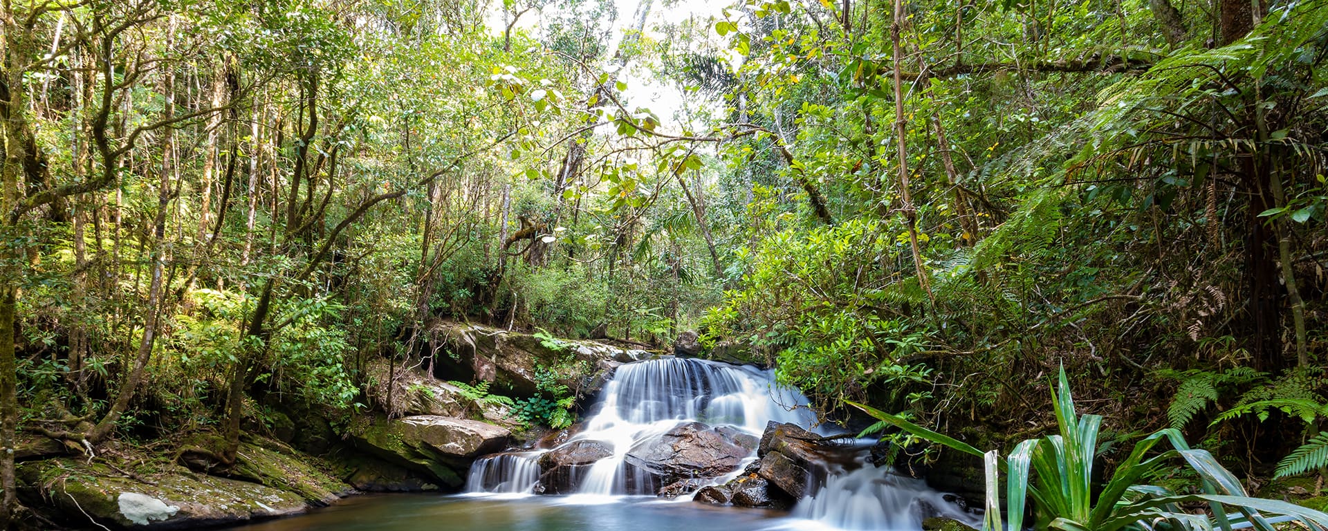 Andasibe Rainforest & Magical Anjajavy | Go2Africa